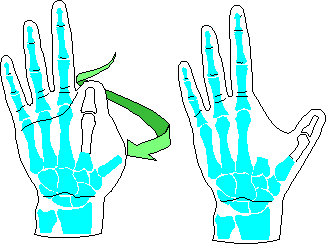 Thumb Reconstruction